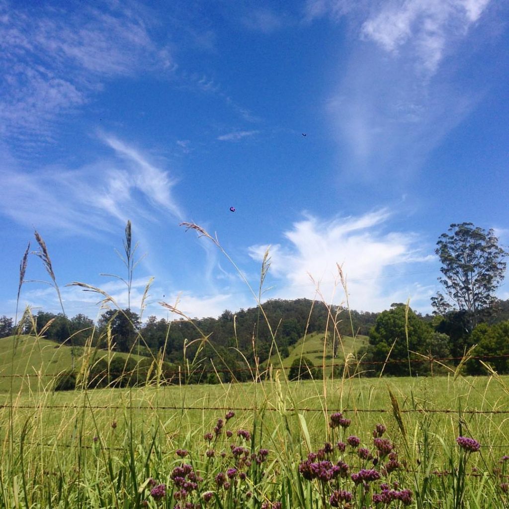 Explore – Nambucca Valley